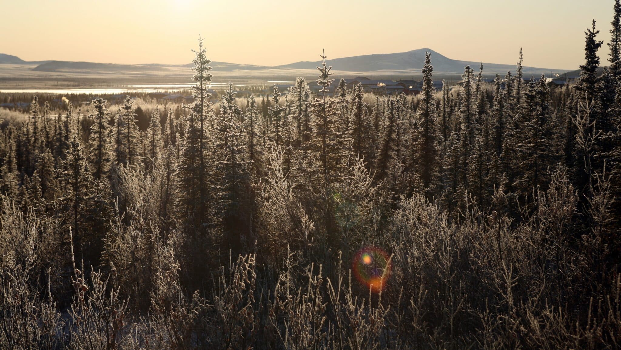 NANA shareholders elect 2024 board of directors – NANA Regional Corporation